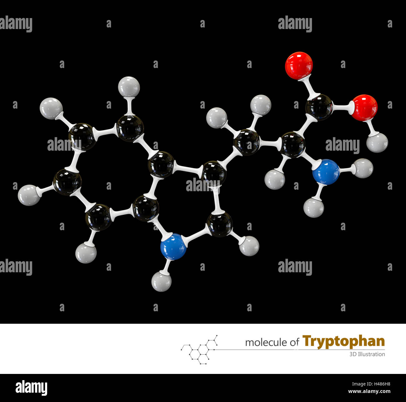 3d Illustration of Tryptophan Molecule isolated black background Stock ...