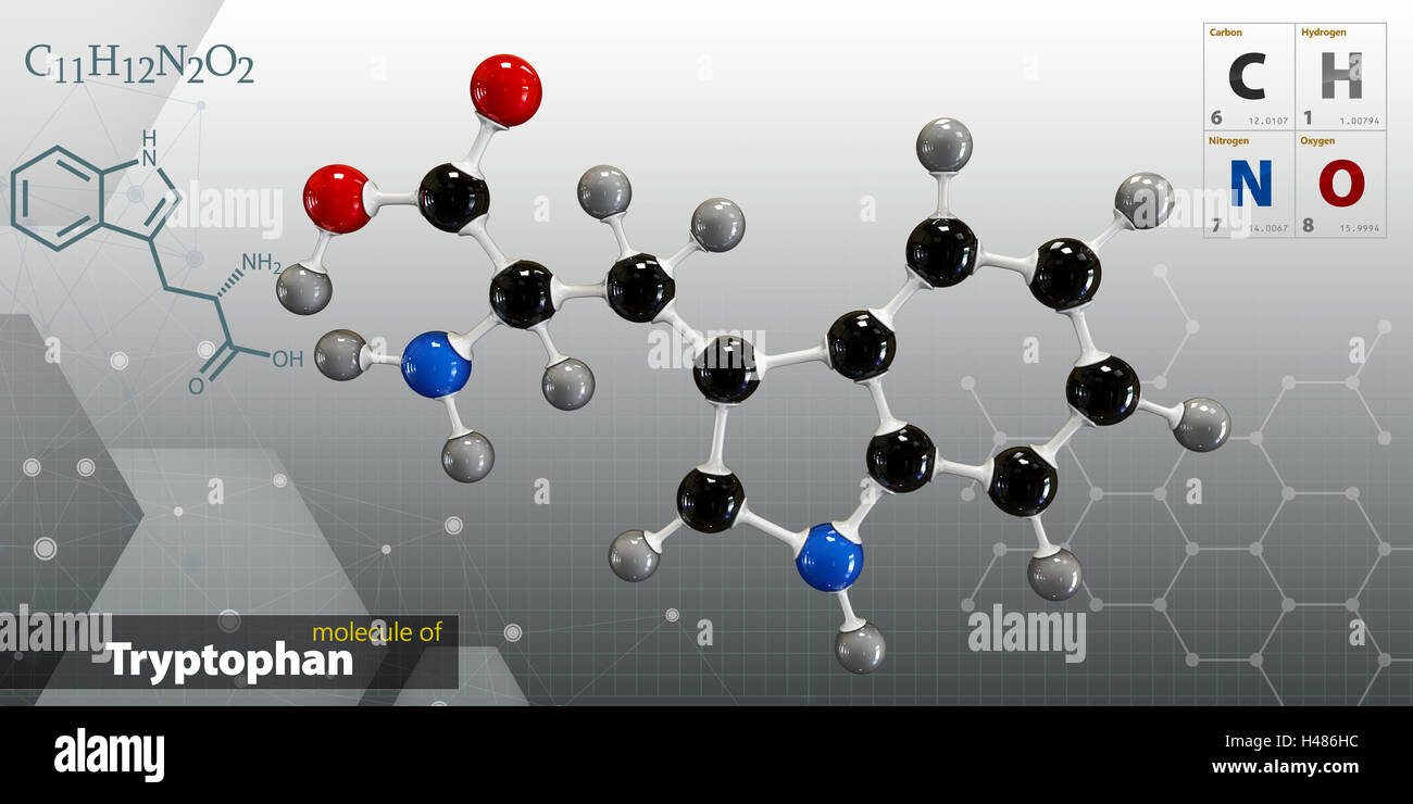 3d Illustration of Tryptophan Molecule isolated gray background Stock ...