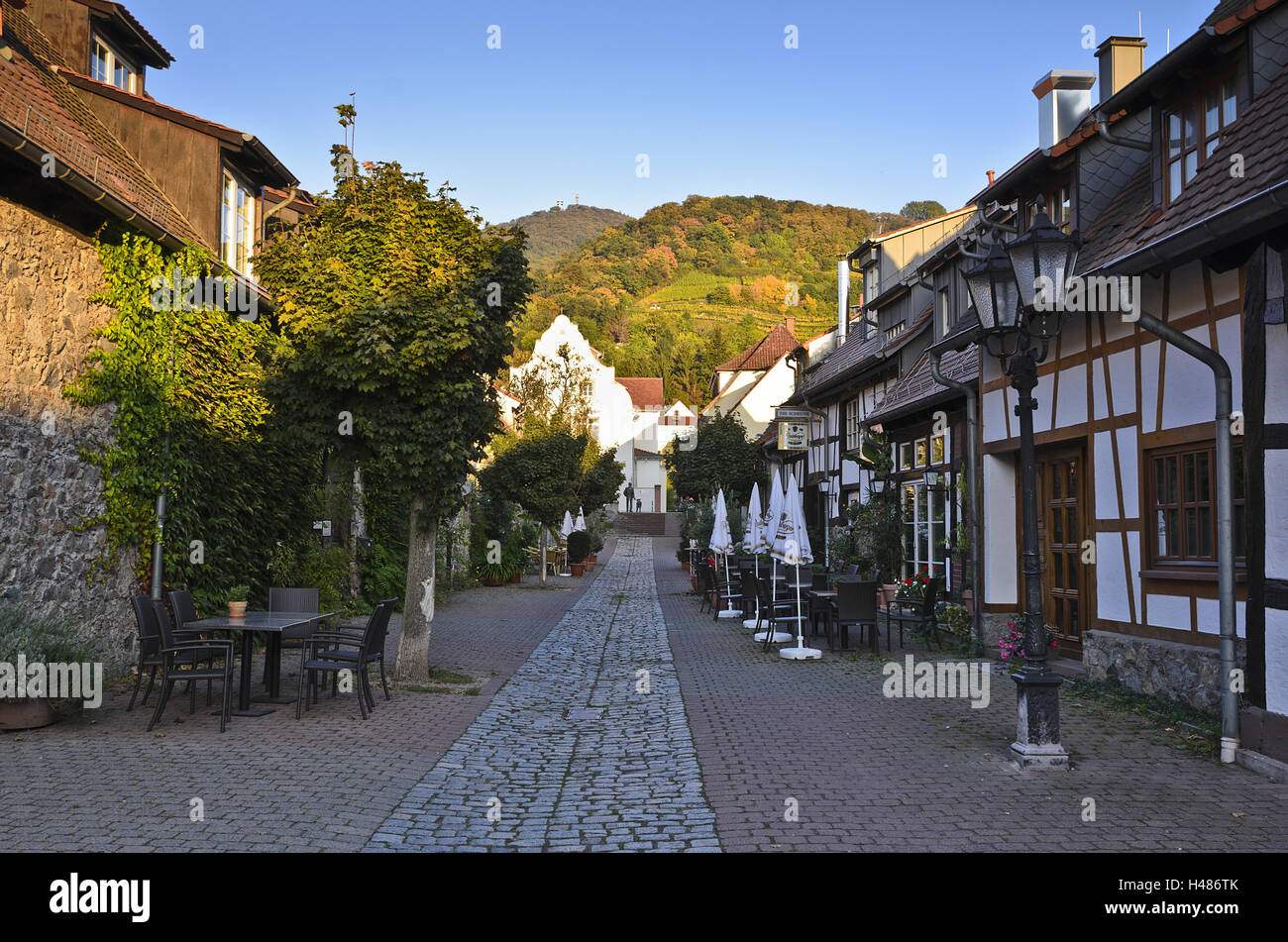 Germany, Hesse, Odenwald (region), Bergstraße (region), Zwingenberg ...