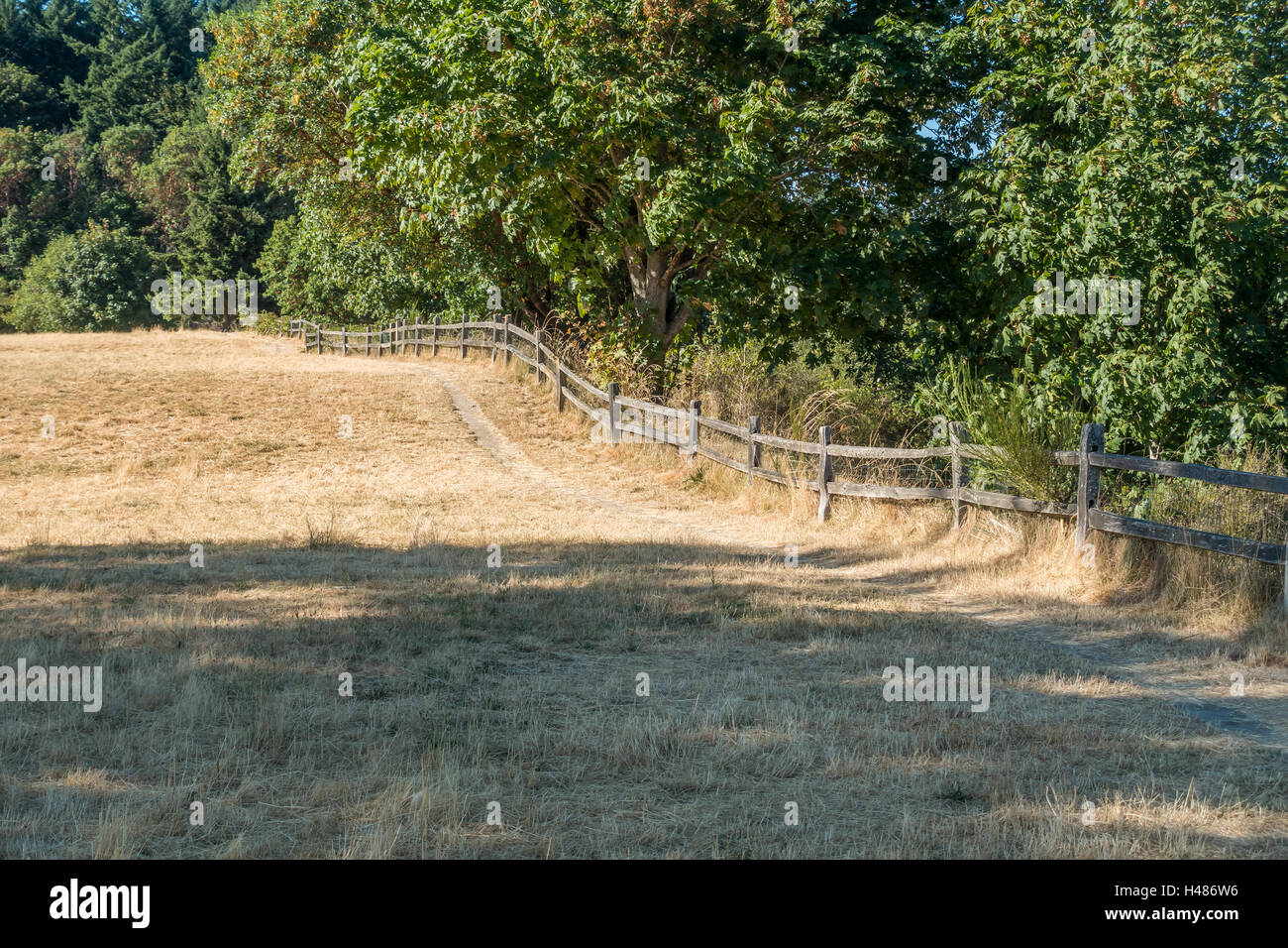 A wooden fence separates a dry field from lush green trees Stock Photo ...