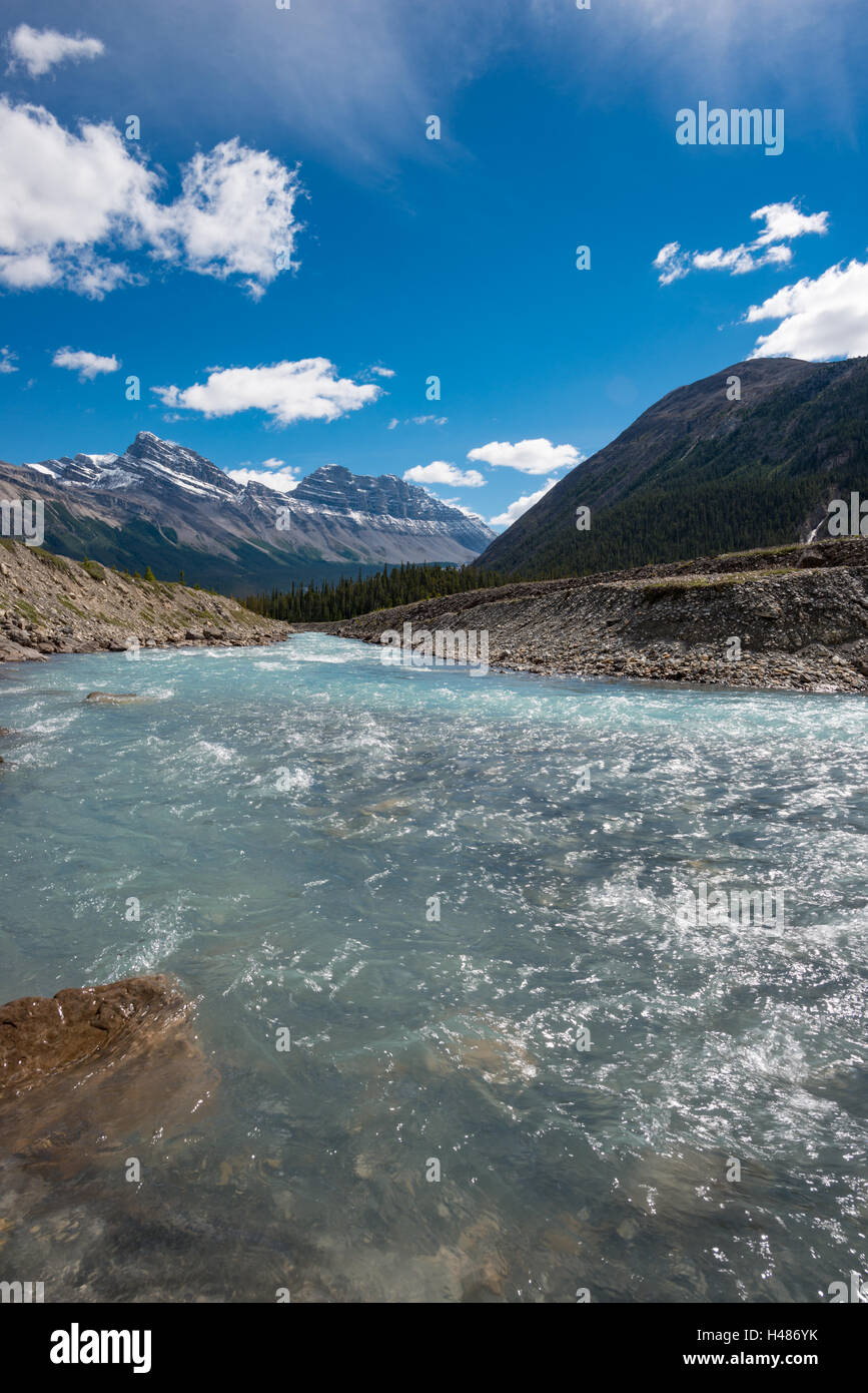 The North Saskatchewan River near its headwaters in Banff National Park ...