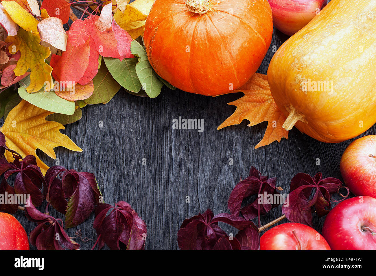 Frame of autumn vegetables and fruits on a black background Stock Photo ...