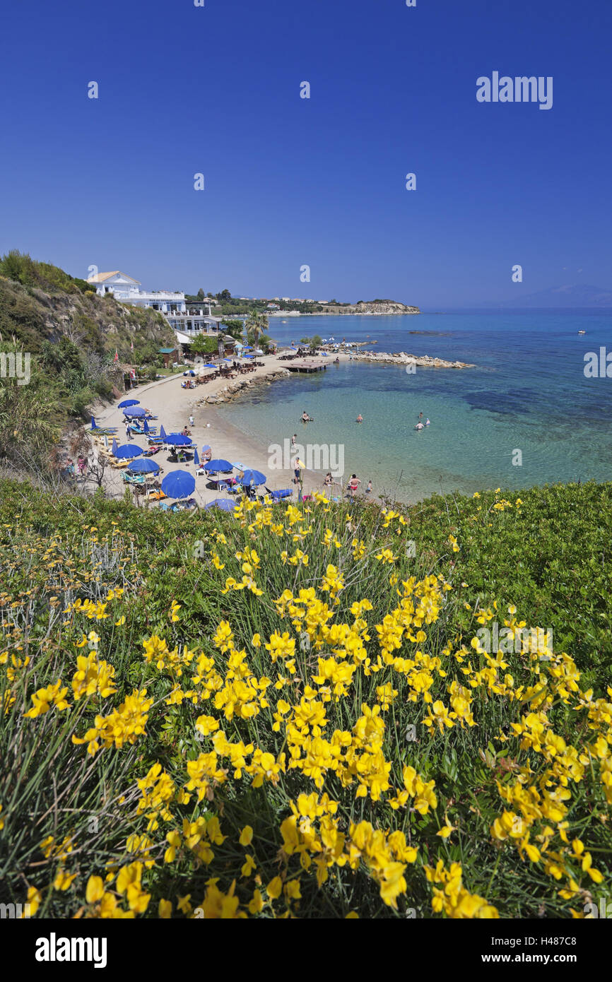 Alexandra beach hi-res stock photography and images - Alamy
