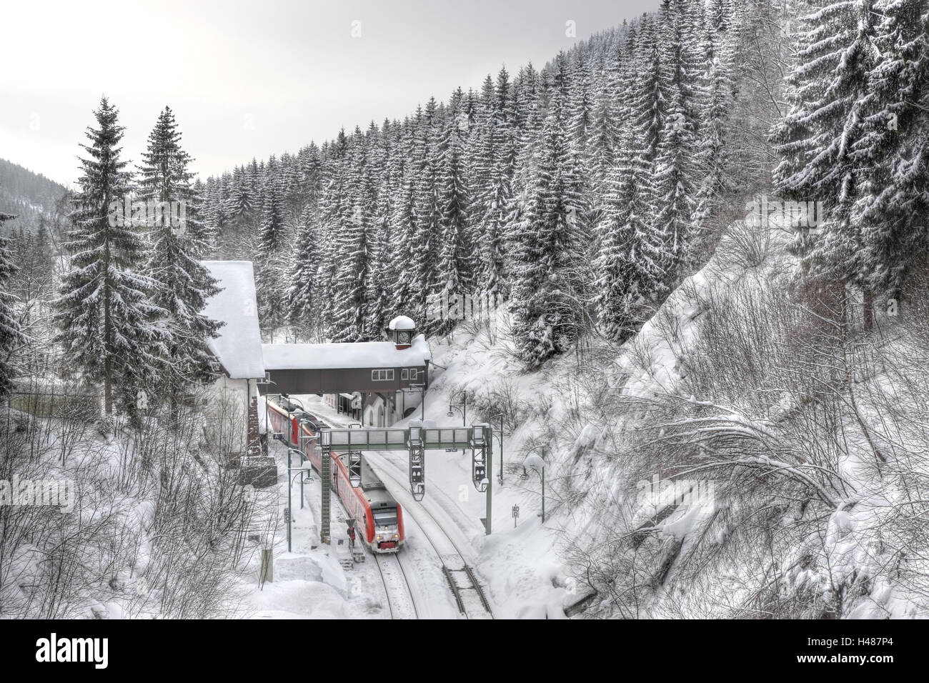 Germany, Thuringia, Oberhof, tracks, train, forest, front view Stock ...