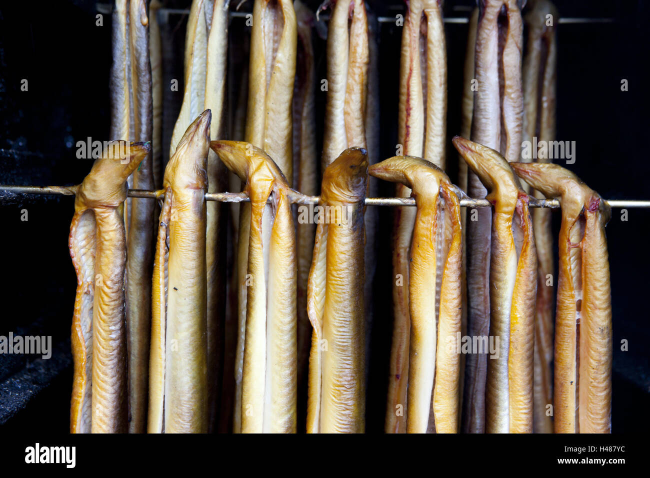 Raucheraal hi-res stock photography and images - Alamy