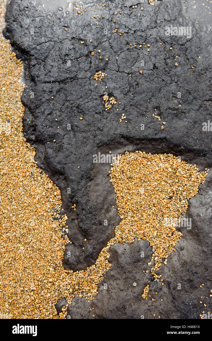 Bile formation, beach, medium close-up Stock Photo - Alamy