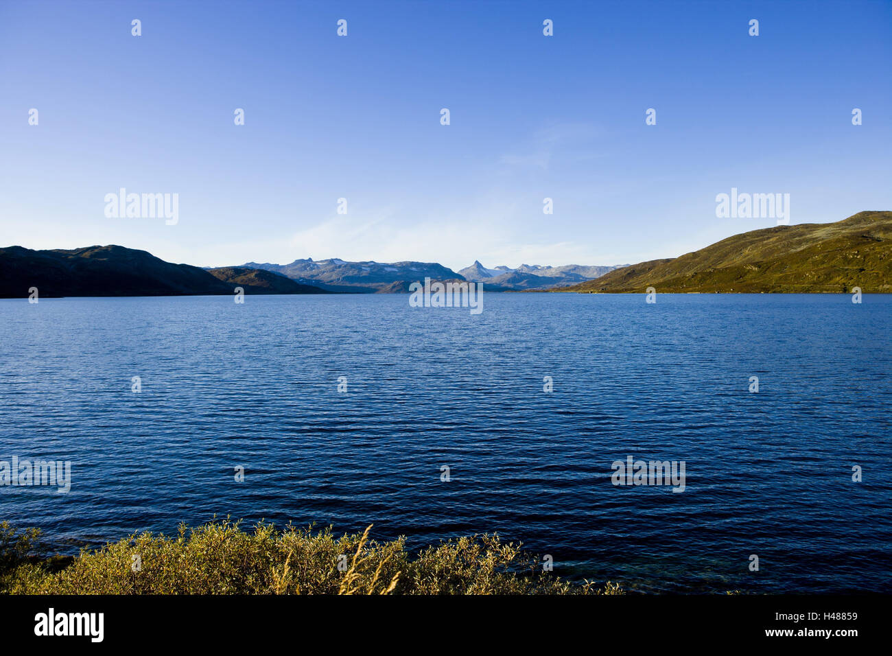 Tyinsee hi-res stock photography and images - Alamy