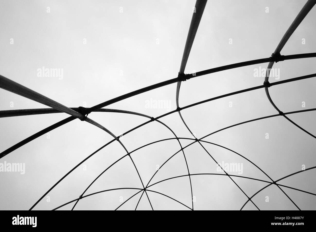 Rose grid hi-res stock photography and images - Alamy