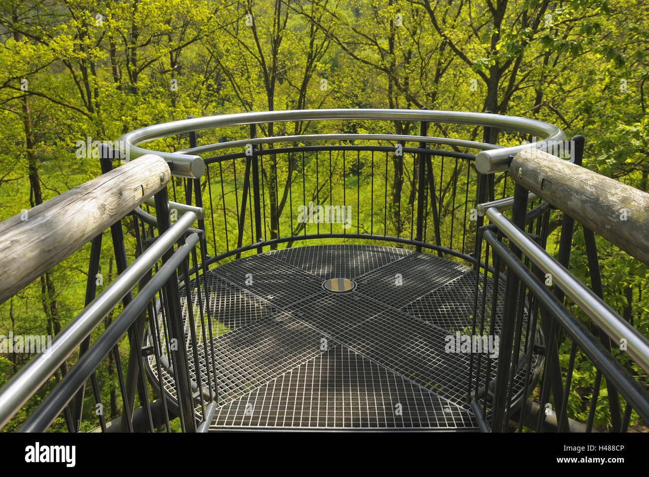 Biosphere house, treetop path, lookout, fish brook, person's from the ...