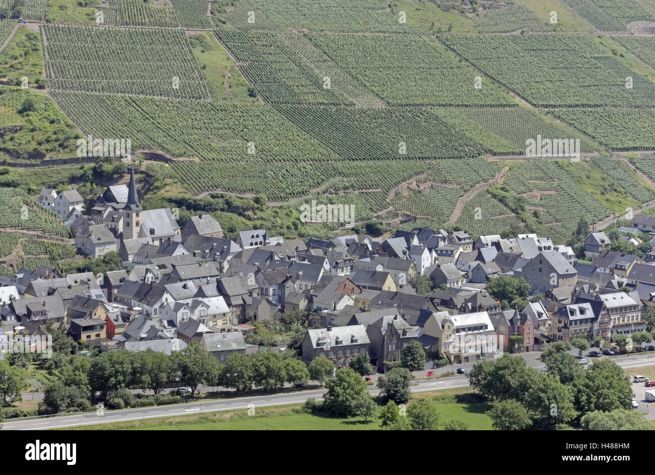 Eller hi-res stock photography and images - Alamy