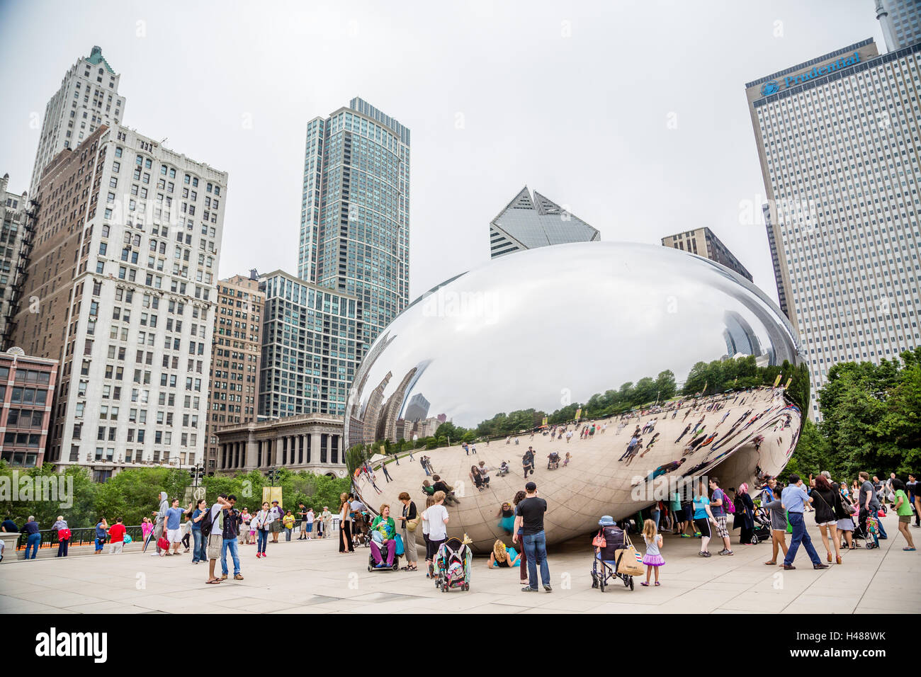 Silver bean hi-res stock photography and images - Alamy