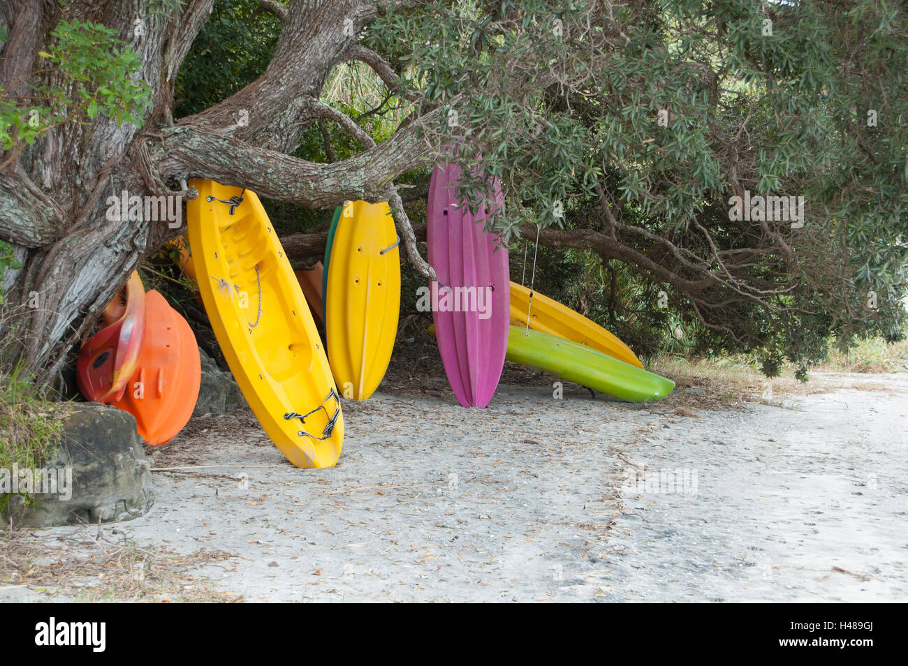 Stack of colorful kayaks under a tree Stock Photo - Alamy
