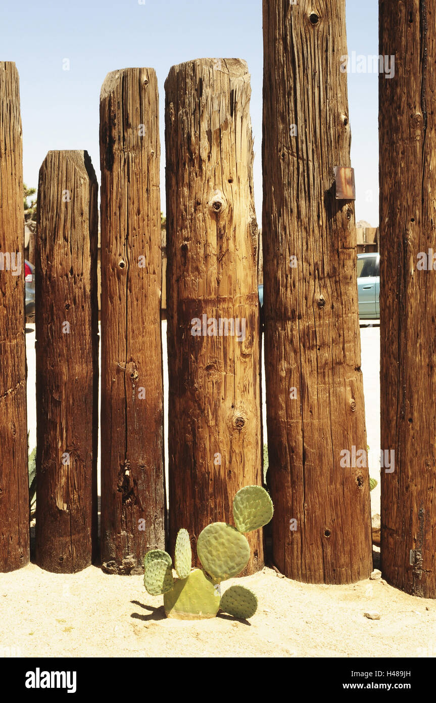 Wooden fence, sand, cactus, California, USA Stock Photo - Alamy