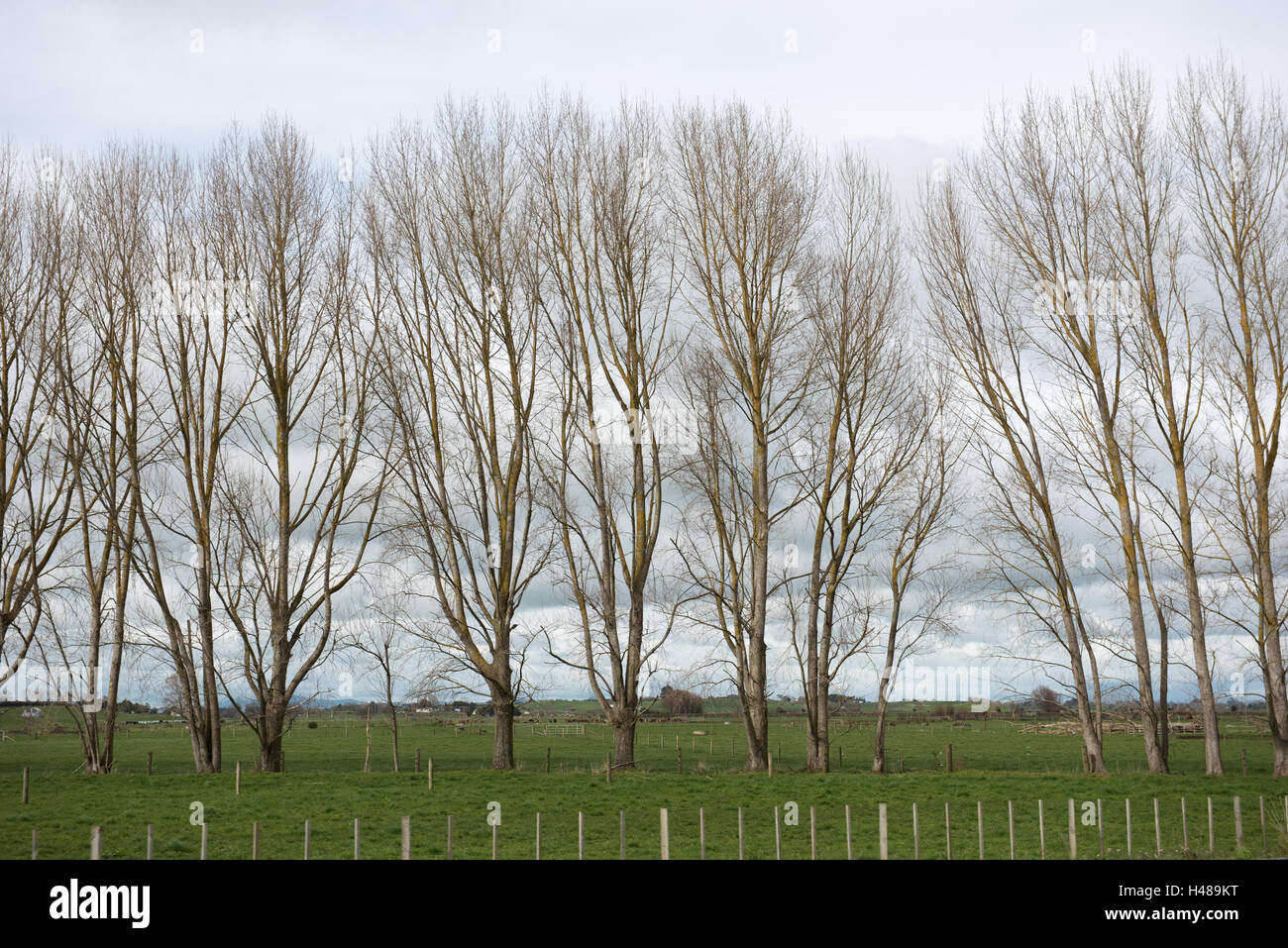 Trees behind fence hi-res stock photography and images - Alamy