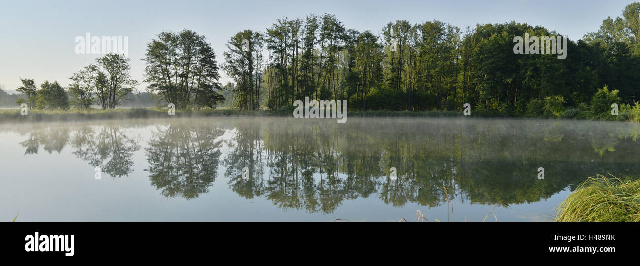 Alders by the lake edge hi-res stock photography and images - Alamy