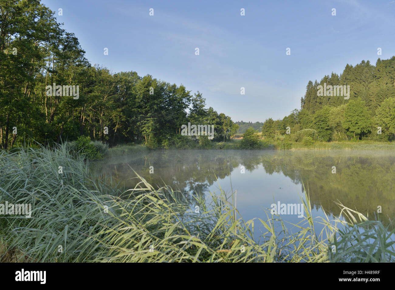 Scenery, reflection, lake, haze, fog Stock Photo - Alamy