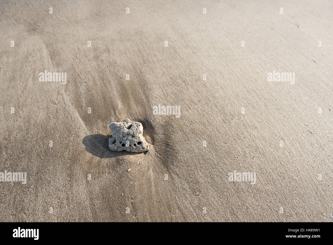 Pebble on the beach sand Stock Photo - Alamy