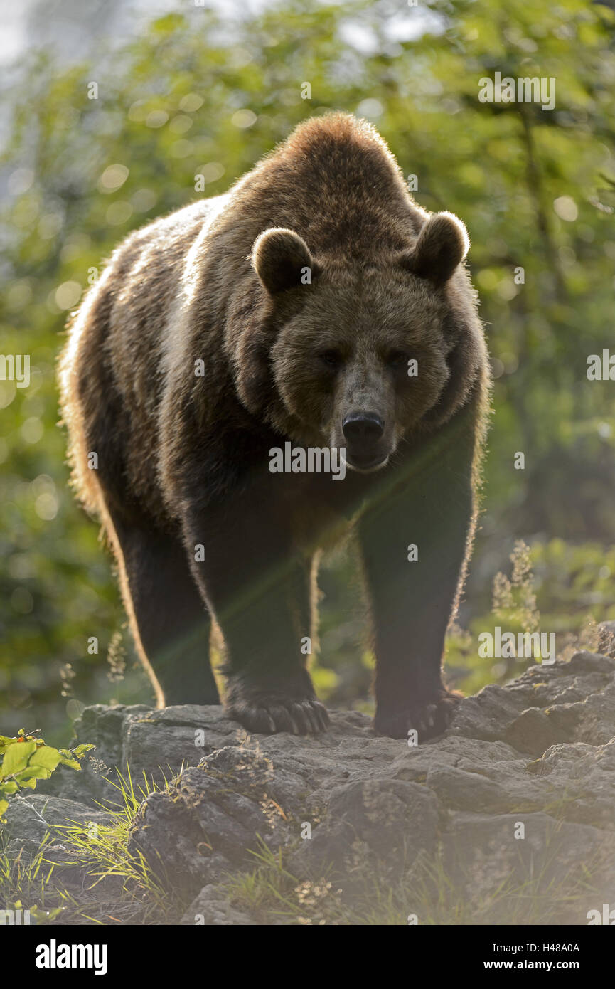 Full stands hi-res stock photography and images - Alamy