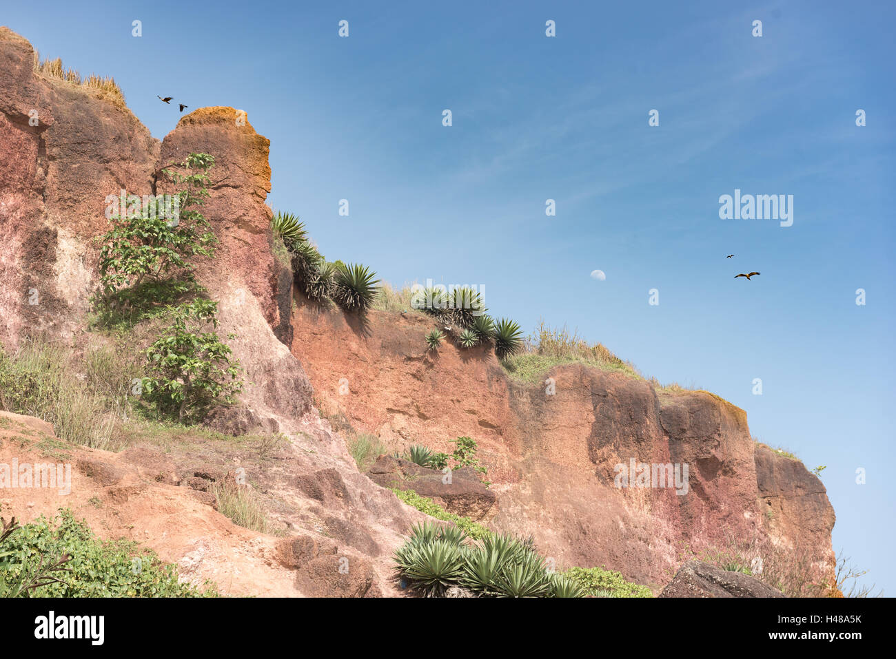 Birds circling above a cliff with a blue sky and moon in the background ...