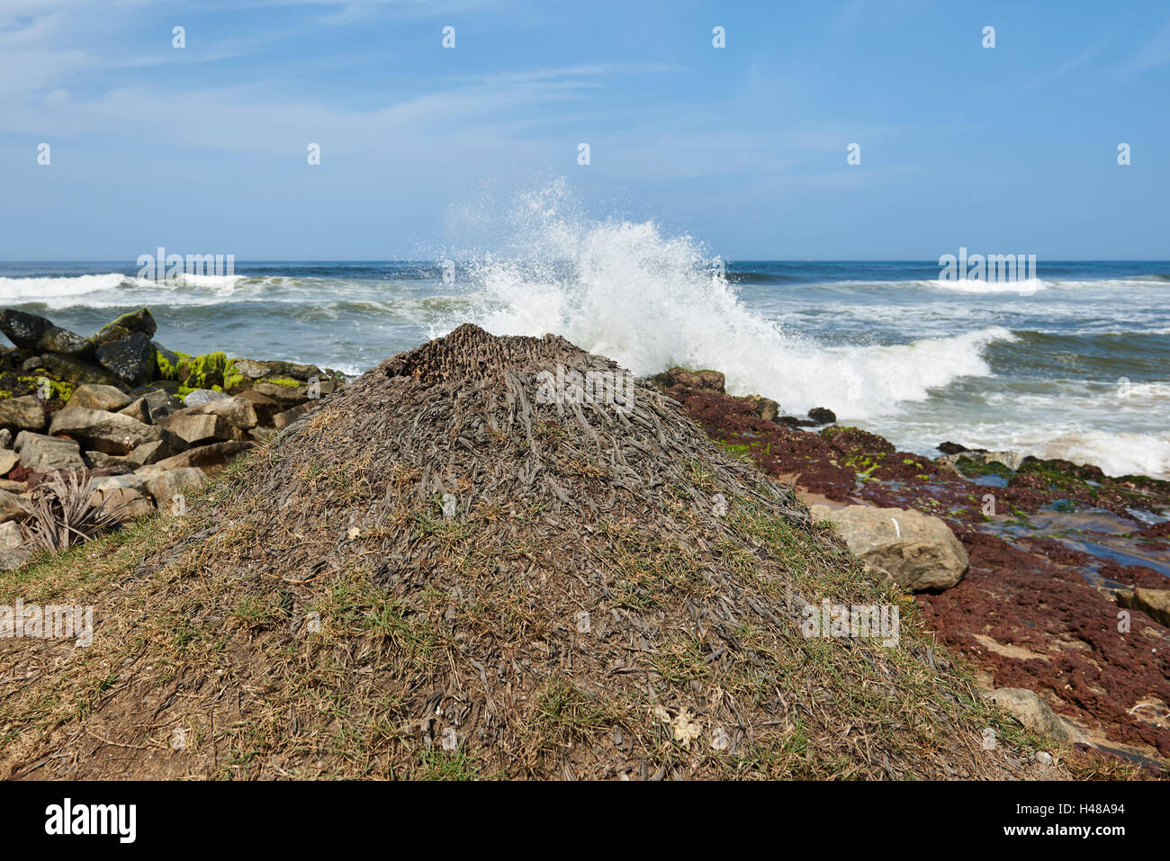 Waves pounding a rock strewn beach Stock Photo - Alamy