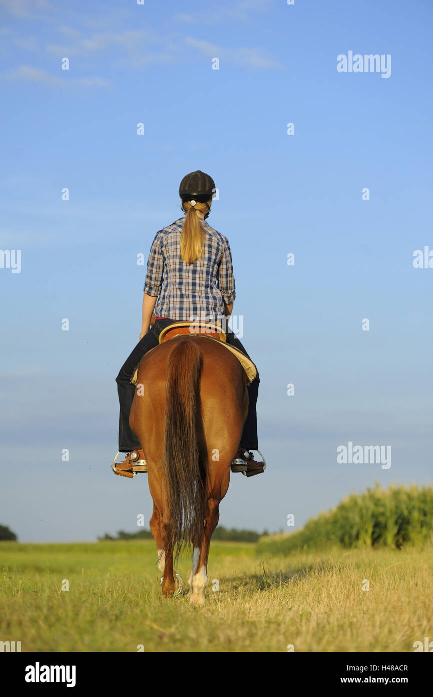 Teenage girl, horse, Paint Horse, back, sitting, back view Stock Photo ...