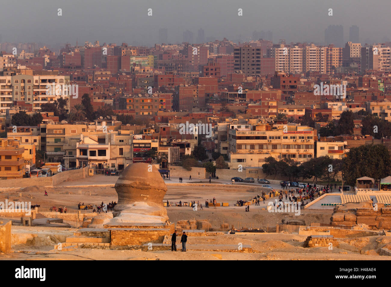 Egypt, Cairo, Giza, sphinx from the back, evening light Stock Photo - Alamy