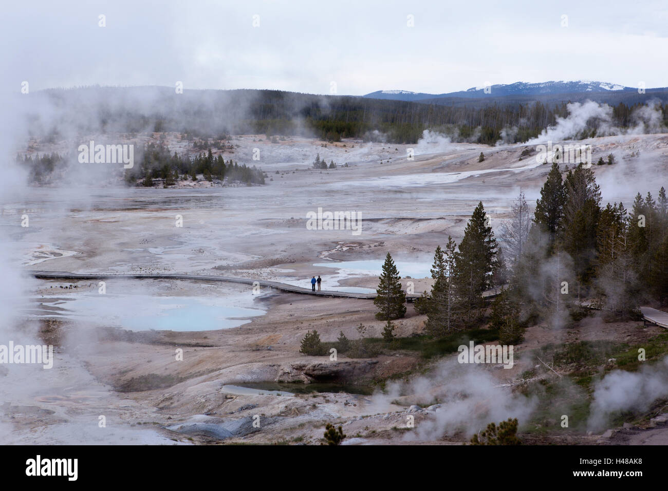 USA, Yellowstone National Park, Norris Geyser Basin Stock Photo - Alamy
