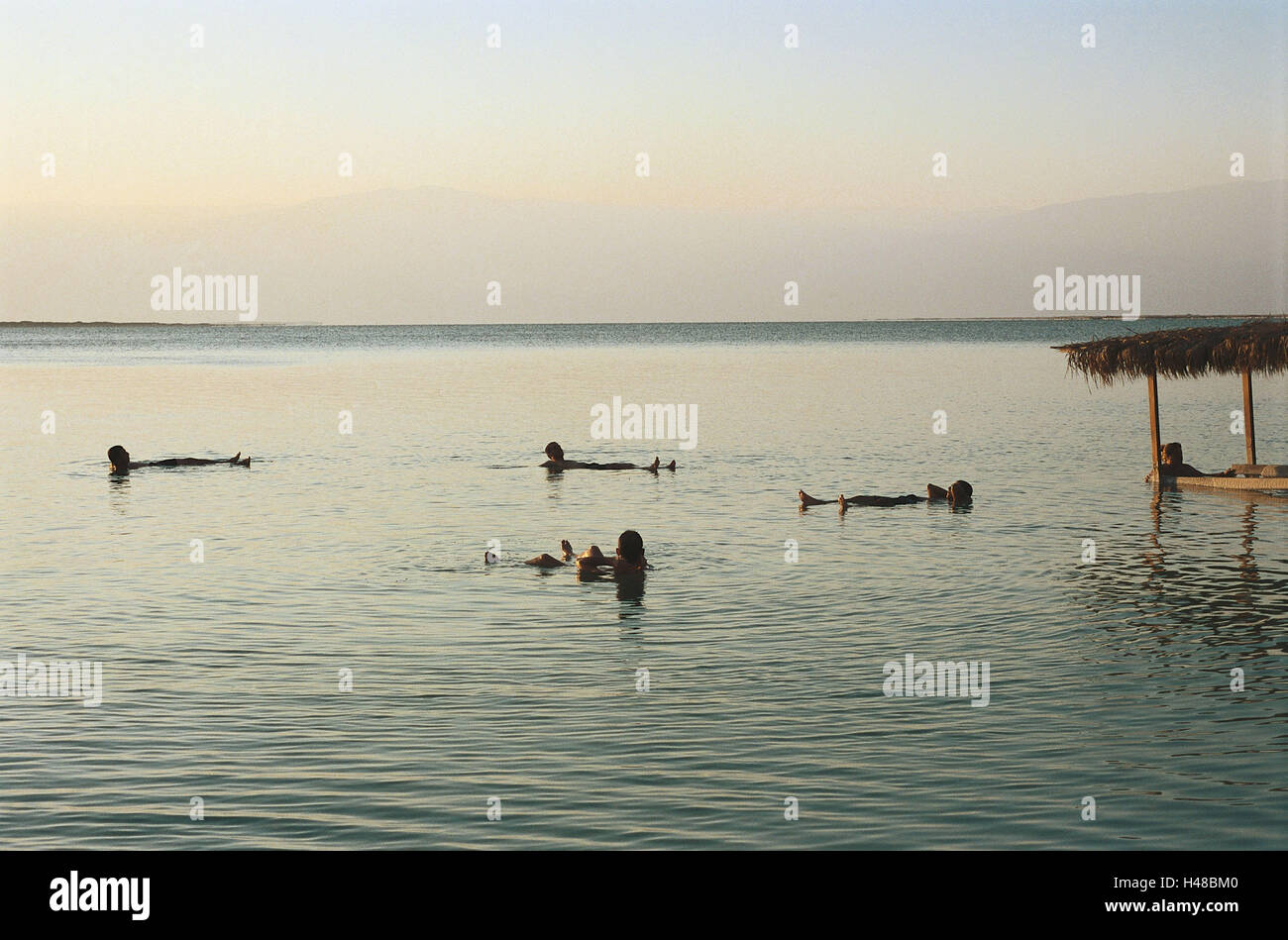 Israel, En Bokek, dead sea, bathers, evening light, the Near East, salt ...