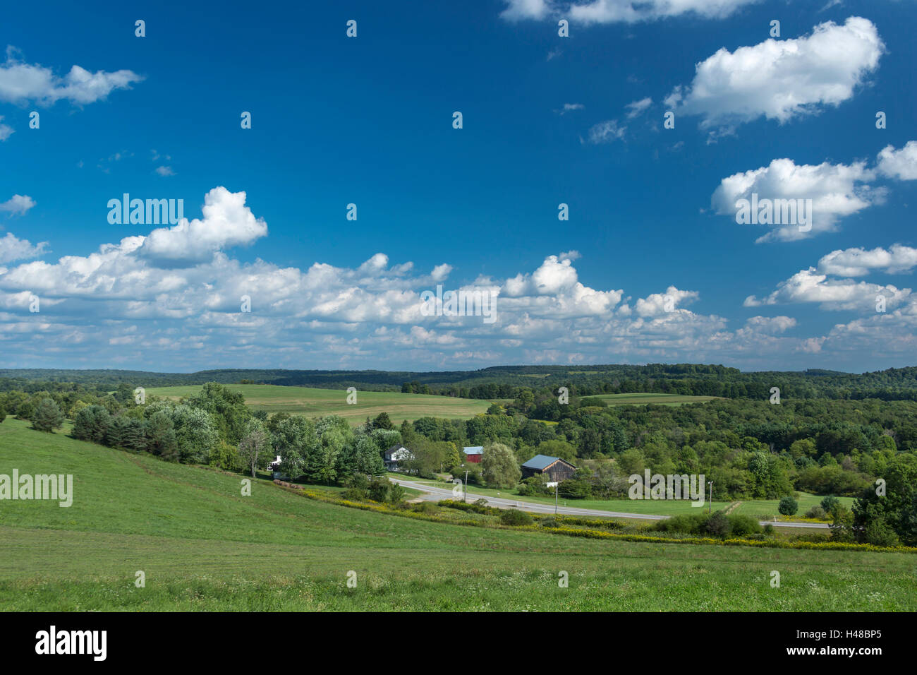 SUMMER RURAL FARMLAND LANDSCAPE JEFFERSON COUNTY PENNSYLVANIA USA Stock ...