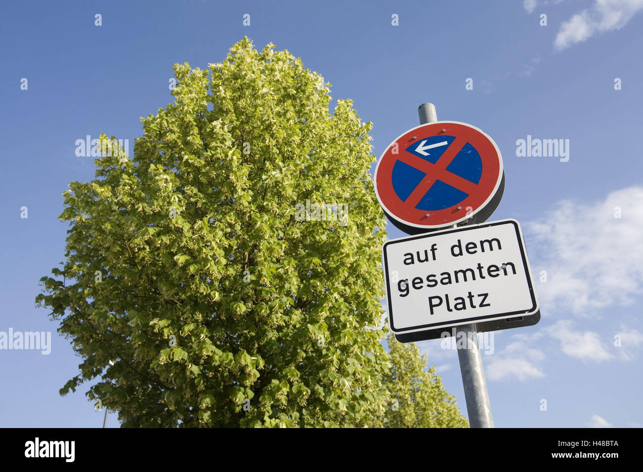 Sign, stop ban, tree, space, road sign, ban, absolute stop ban, no ...