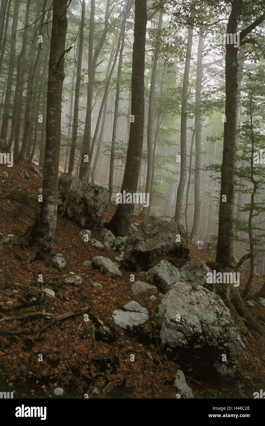 Slovenia, Triglav national park, Slap Savica, Komarca wall, entrance ...