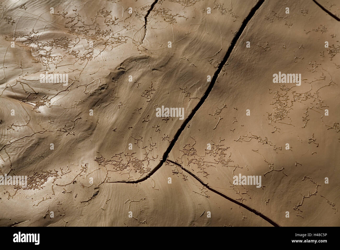 Algeria, wadi Saoura, mucky floor, dry fissures, Africa, desert, Sand ...