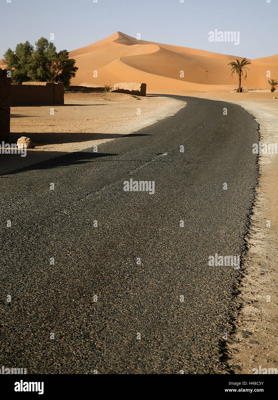 Algeria, big erg, Tamart, Sand dunes, oasis, palms, streets, deserted ...