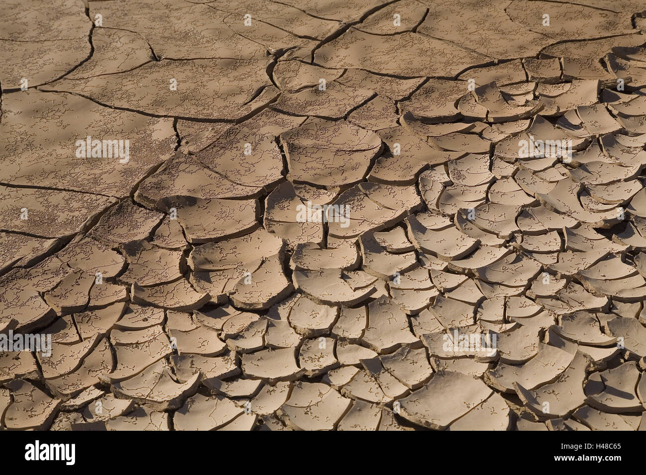 Algeria, wadi Saoura, mucky floor, dry fissures, Africa, desert, Sand ...