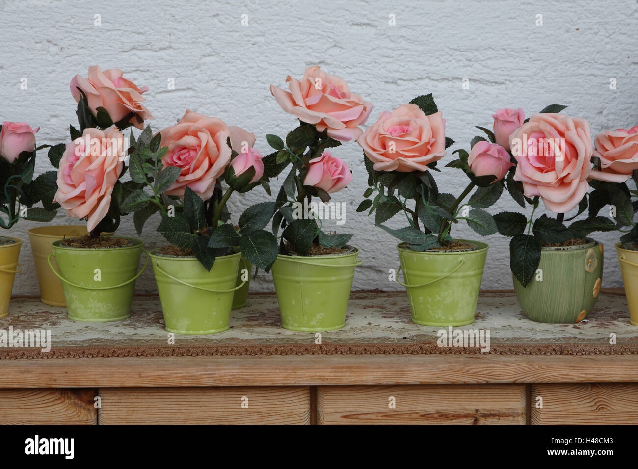 Chest of drawers, decoration, flowerpots, art roses Stock Photo - Alamy