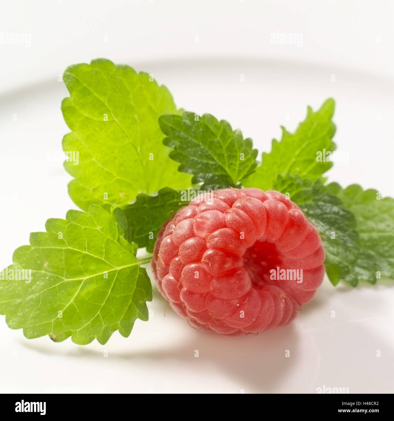 Raspberry forest hi-res stock photography and images - Alamy