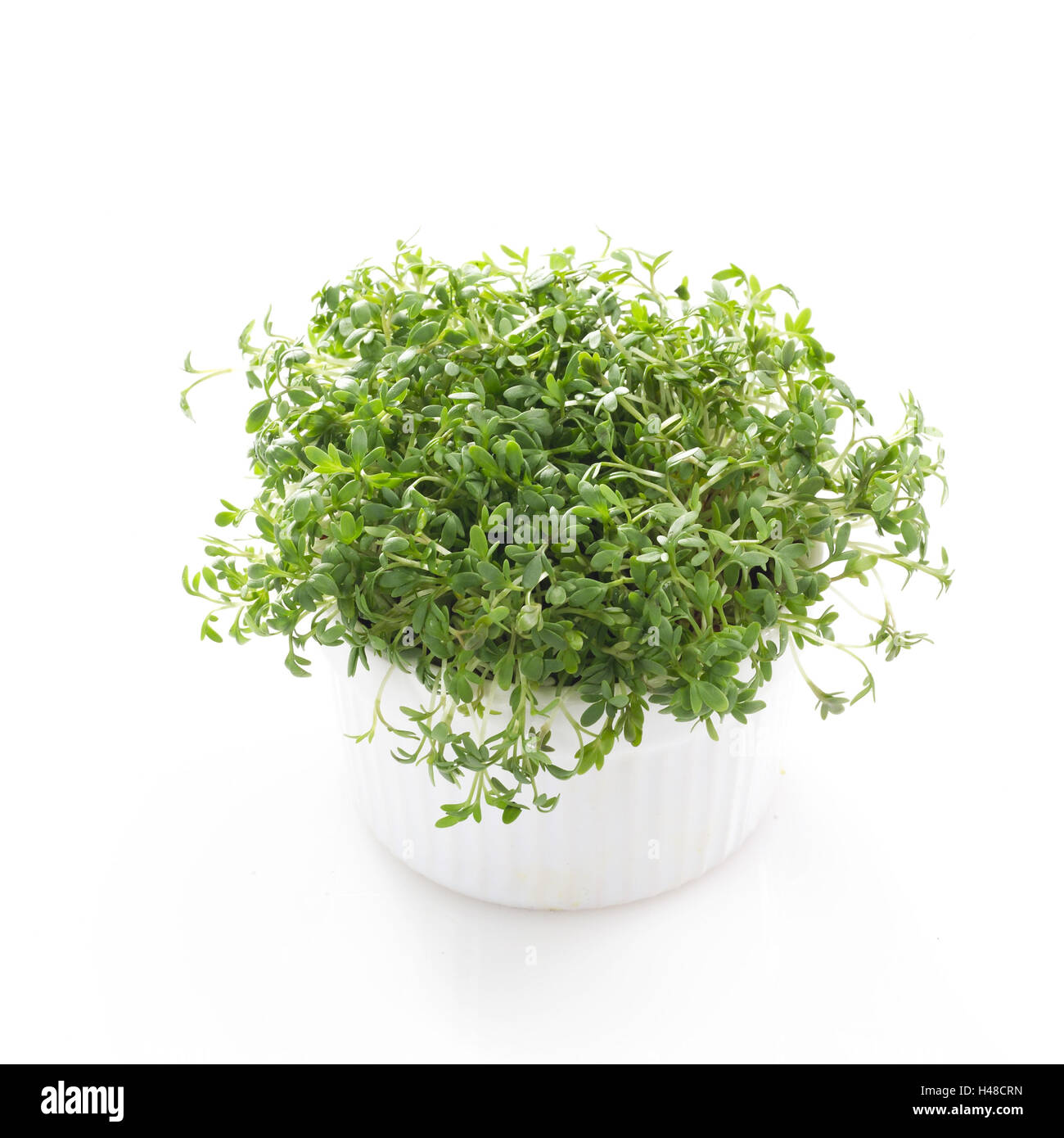 Cut cress hi-res stock photography and images - Alamy