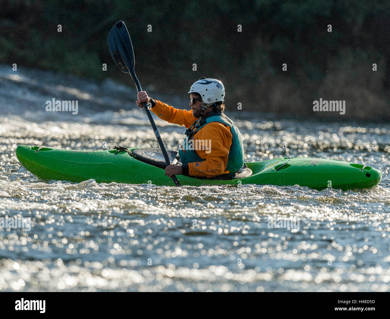 Male adult White Water Kayaking along a River Exe Weir on a bright ...
