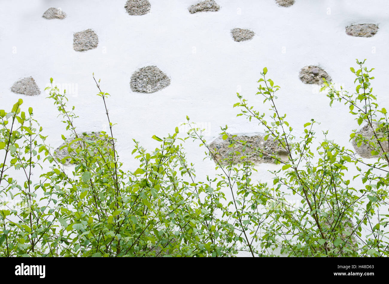 Embedded building hi-res stock photography and images - Alamy