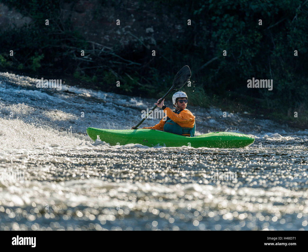 Male adult White Water Kayaking along a River Exe Weir on a bright ...