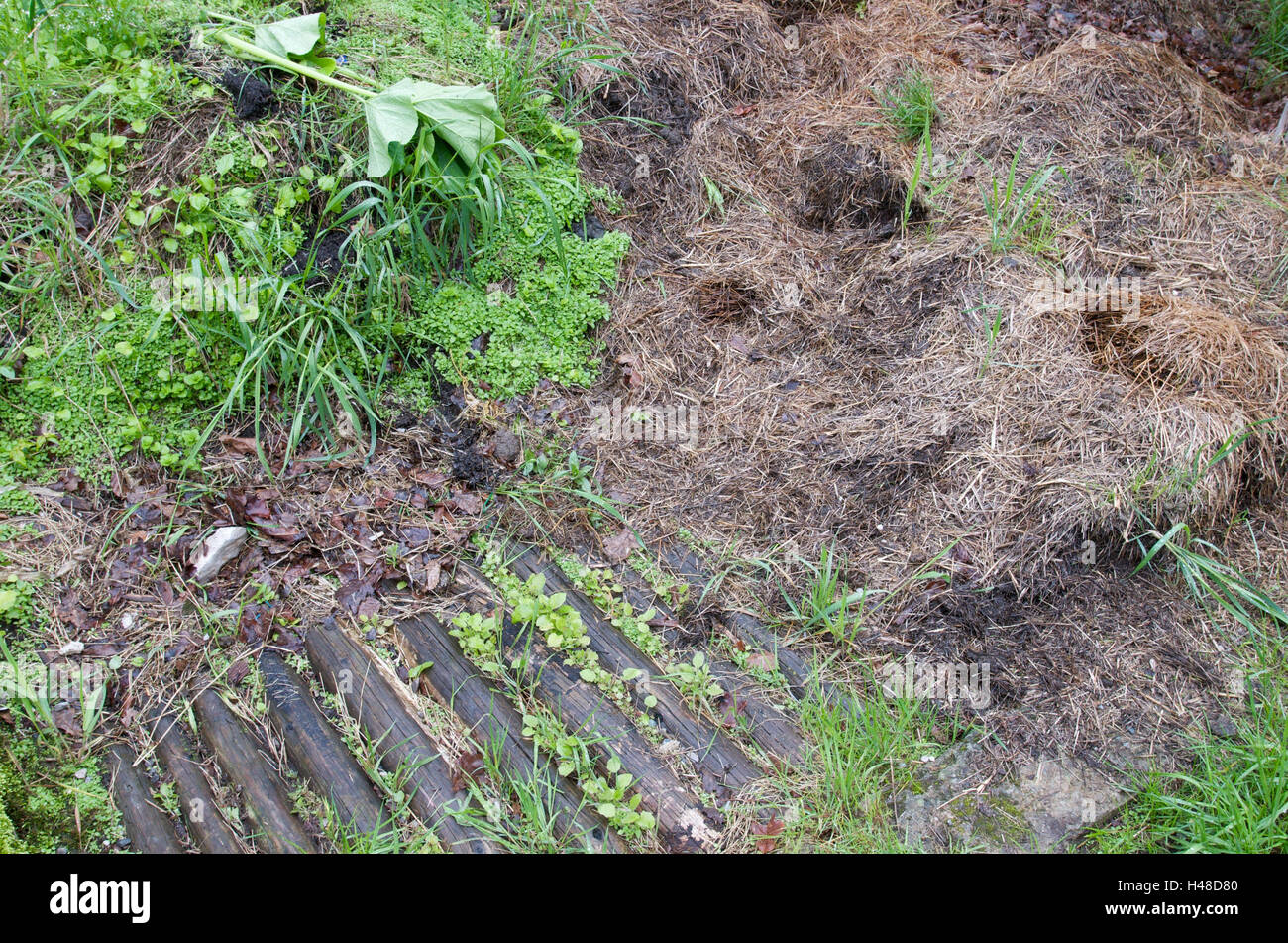 Dunghill and compost Stock Photo - Alamy