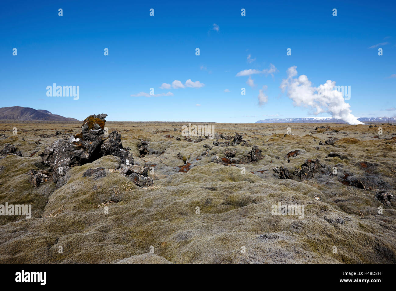 Boulder field hi-res stock photography and images - Alamy