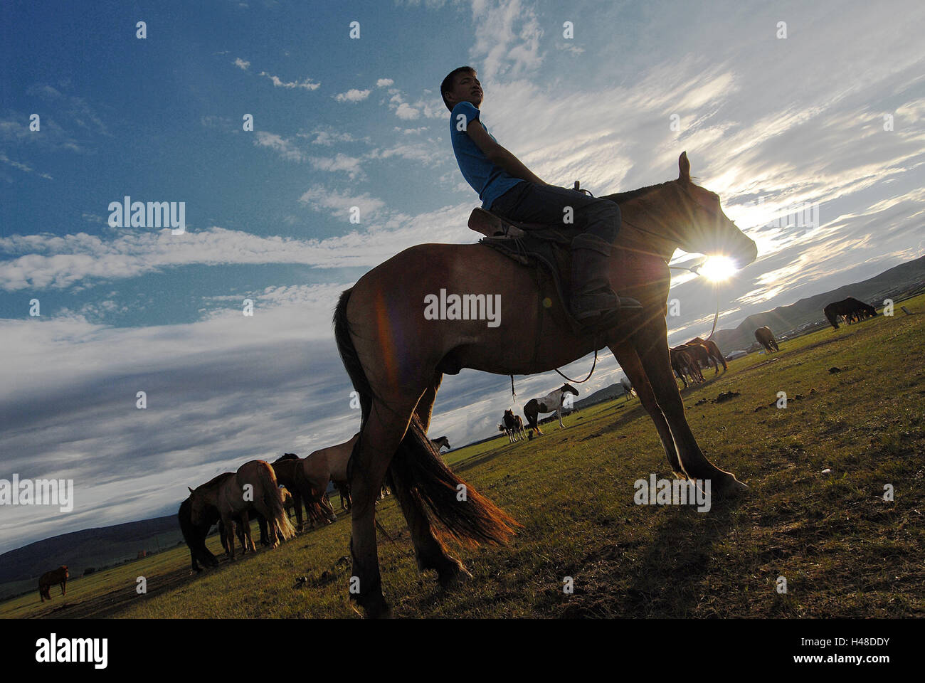 Mongolia boy horse ride hi-res stock photography and images - Alamy