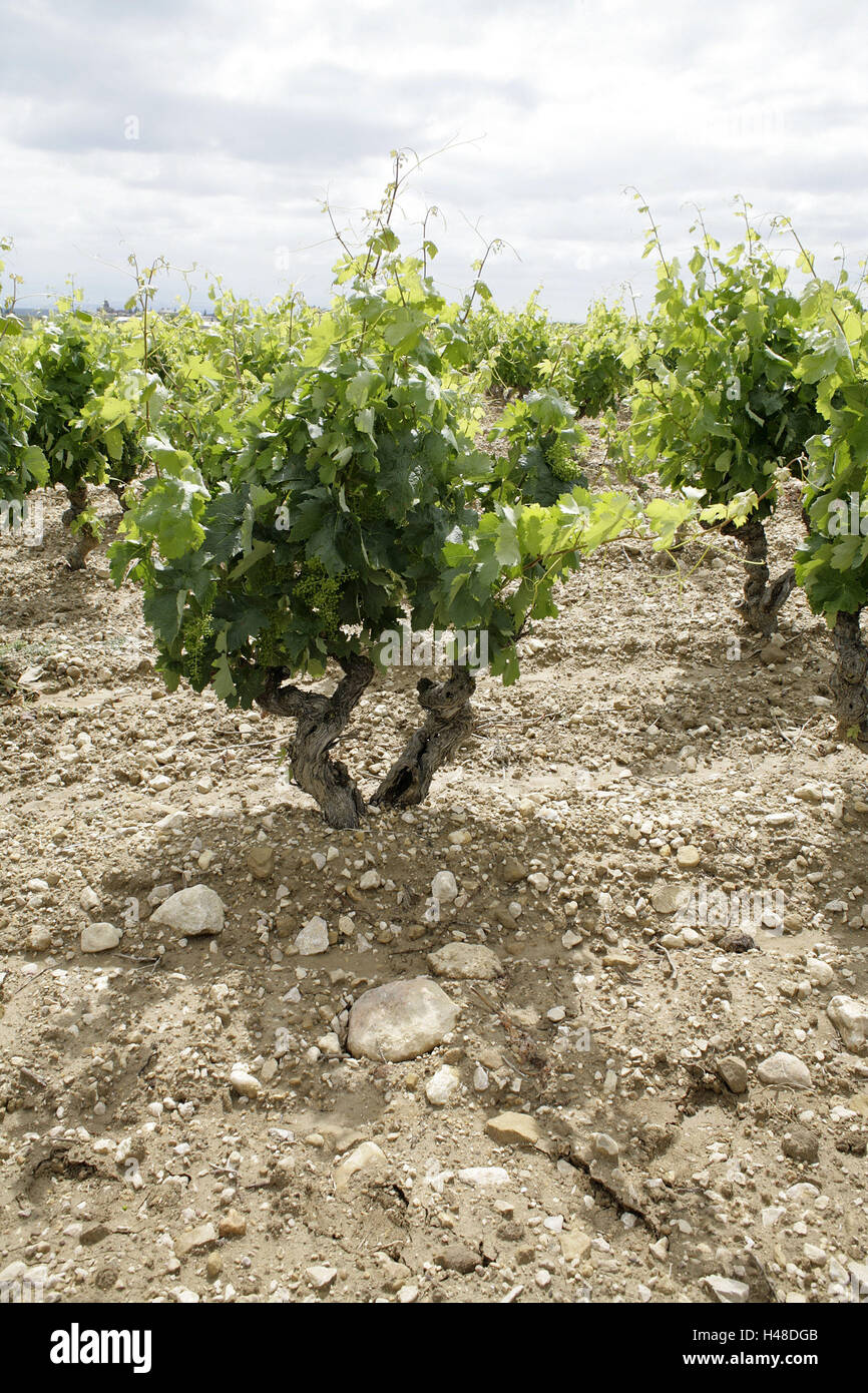 Area araba hi-res stock photography and images - Alamy