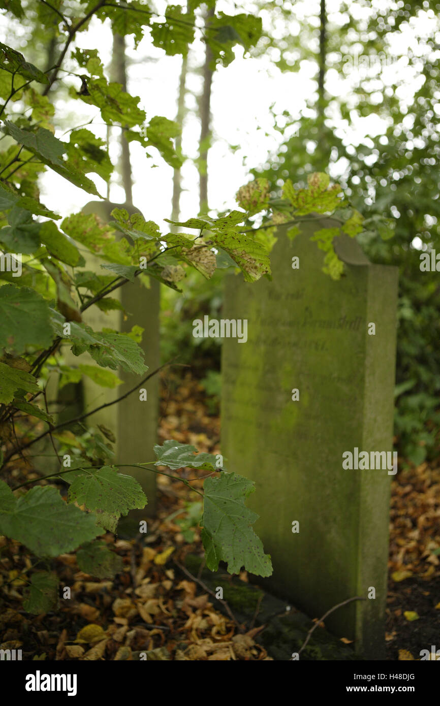 Cemetery, gravestones, blur, branches, leaves Stock Photo - Alamy