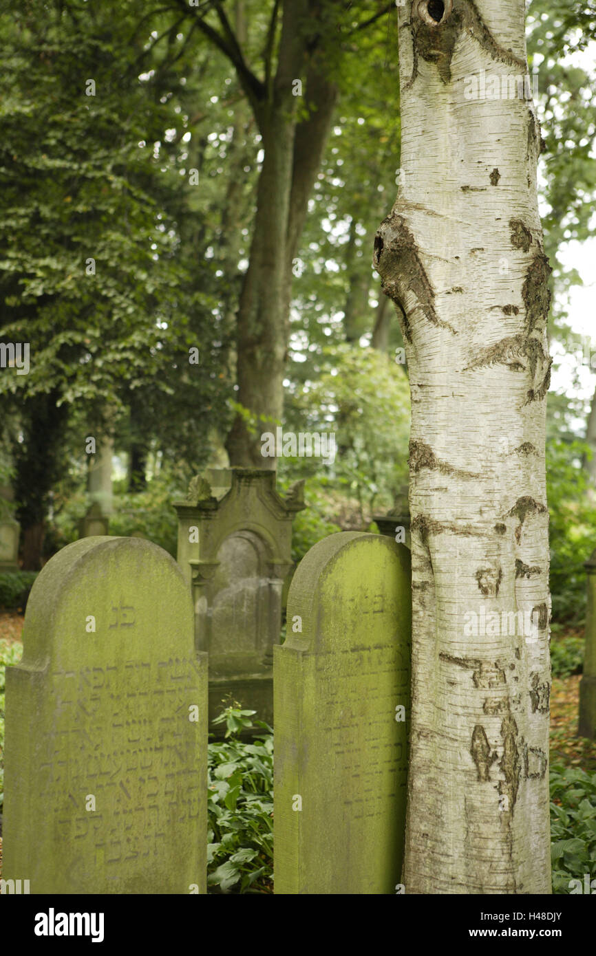 Cemetery, gravestones, moss covered Stock Photo - Alamy