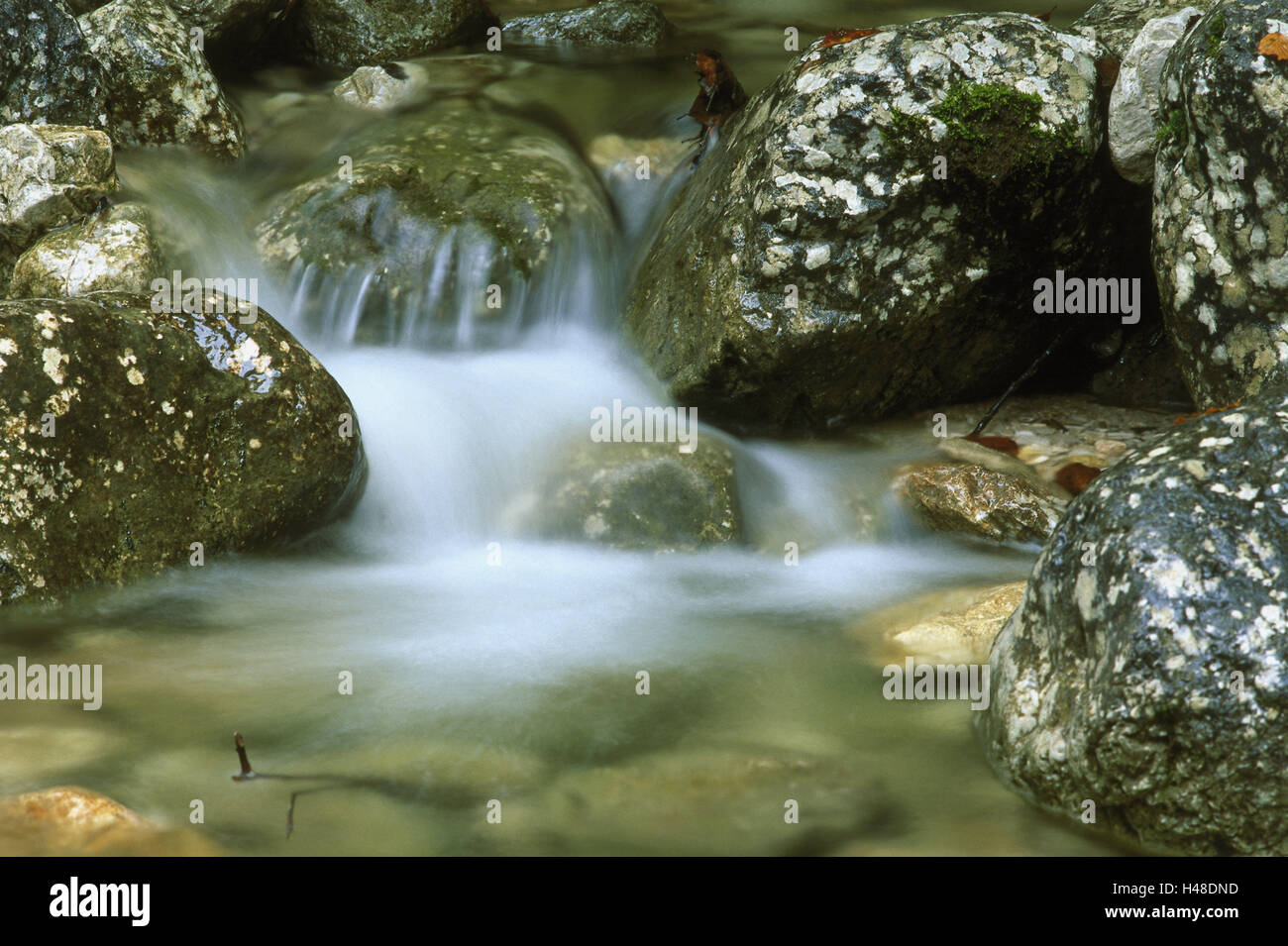 Mountain brook, close up, rock, stones, brook, waters, water, flow ...