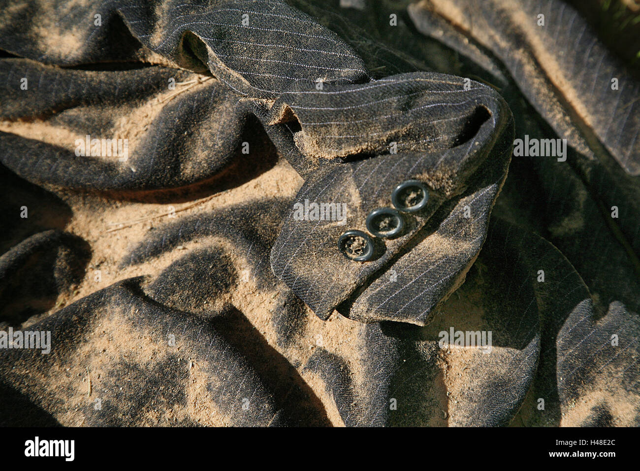 Heedlessly hi-res stock photography and images - Alamy