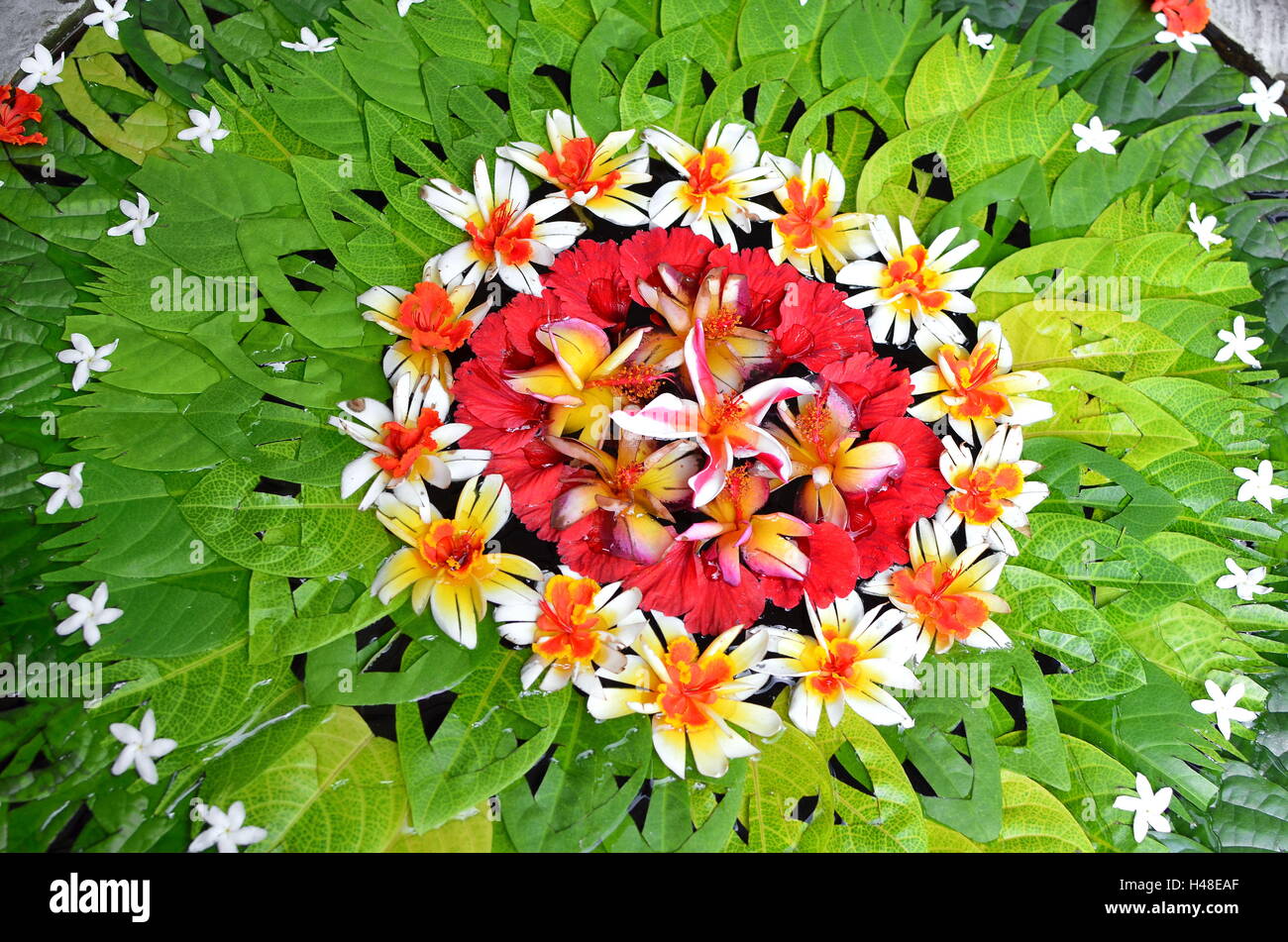 Bali floral art hi-res stock photography and images - Alamy