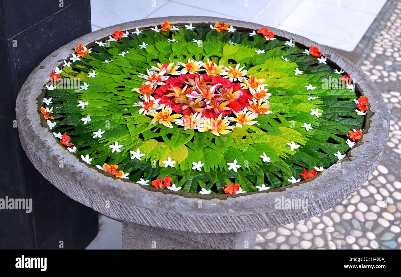 Mandala Blessing Bali Island Indonesia Stock Photo - Alamy